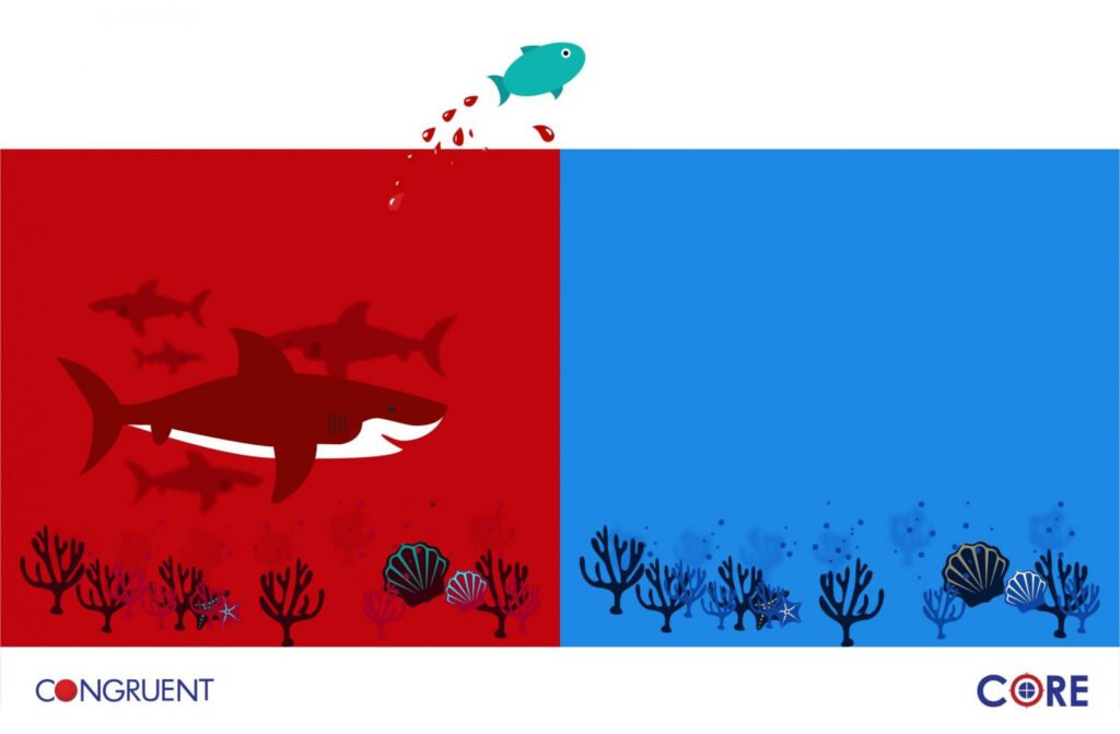 Differentiate yourself – find your Blue Ocean - Congruent Solutions